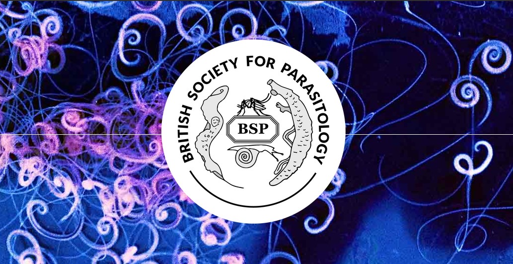 BSP Spring Meeting 2020 | GSA