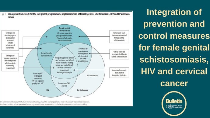 FIG | Female Genital Schistosomiasis Integration Group | GSA