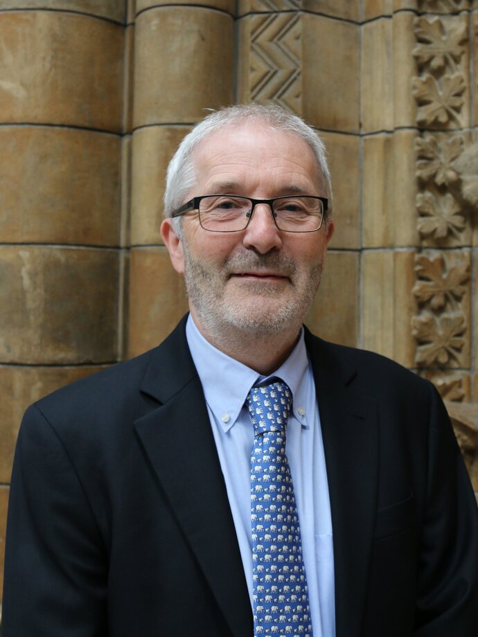 Professor David Rollinson | GSA