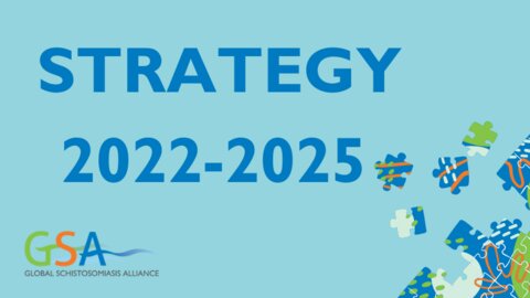 Announcing the GSA Strategy 2022-2025 | GSA